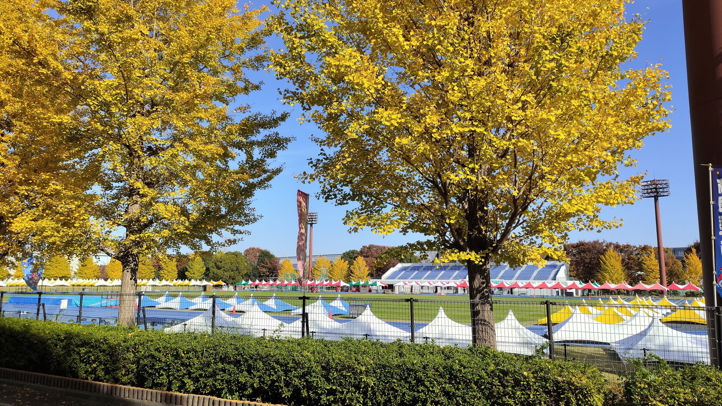 オリジナルニュースレター「えのきだよりvol.15」（11月号）ができました。 | 榎田工務店 神奈川海老名市のリフォーム・注文住宅・新築・建て替え